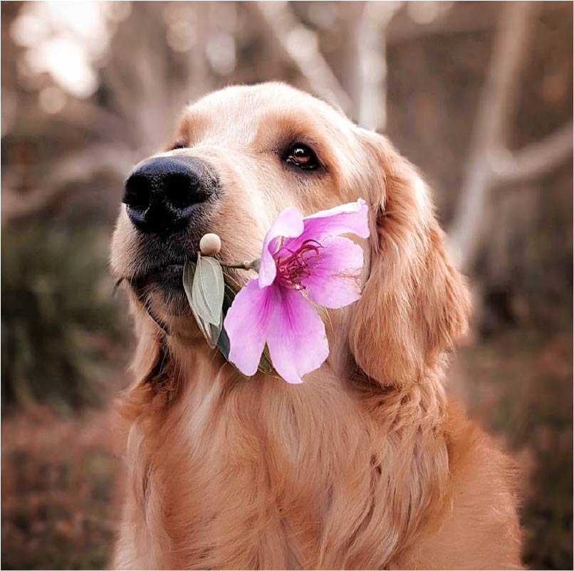 Jupiter – Template 2